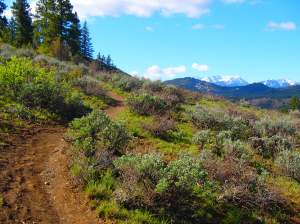 Patterson Mountain | Cascades Outdoor Store